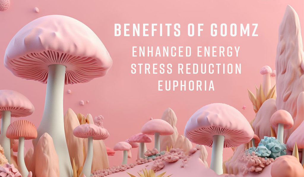 Buy Functional Mushroom Gummies | Energy, Focus, Sleep, Etc. – Goomz