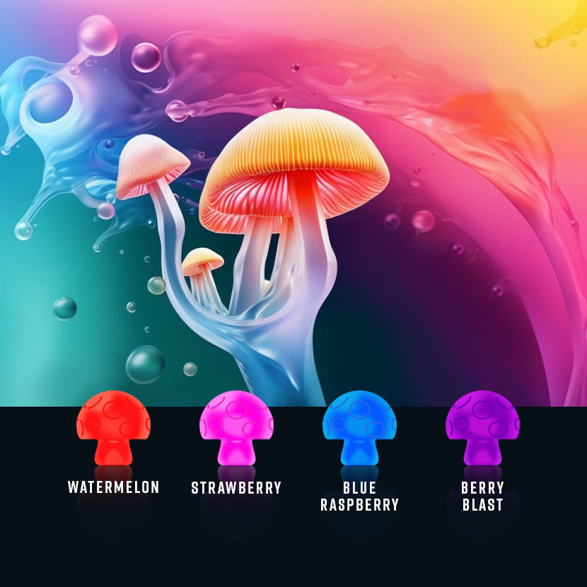 Buy Functional Mushroom Gummies | Energy, Focus, Sleep, Etc. – Goomz